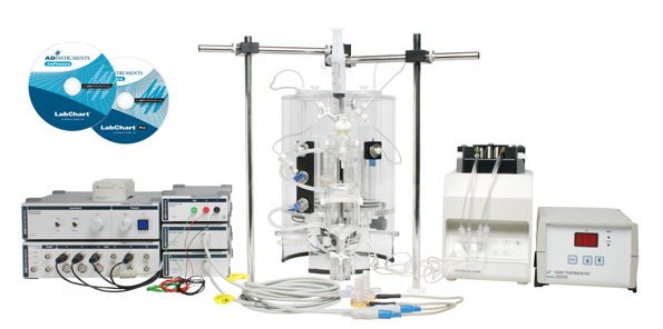 Langendorff | Expert Tips | ADInstruments